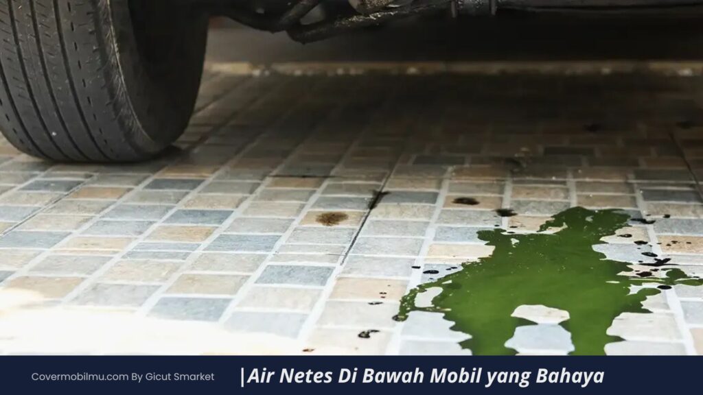 Air Netes Di Bawah Mobil? Bedakan Normal & Ada Kerusakan - Cover Mobilmu
